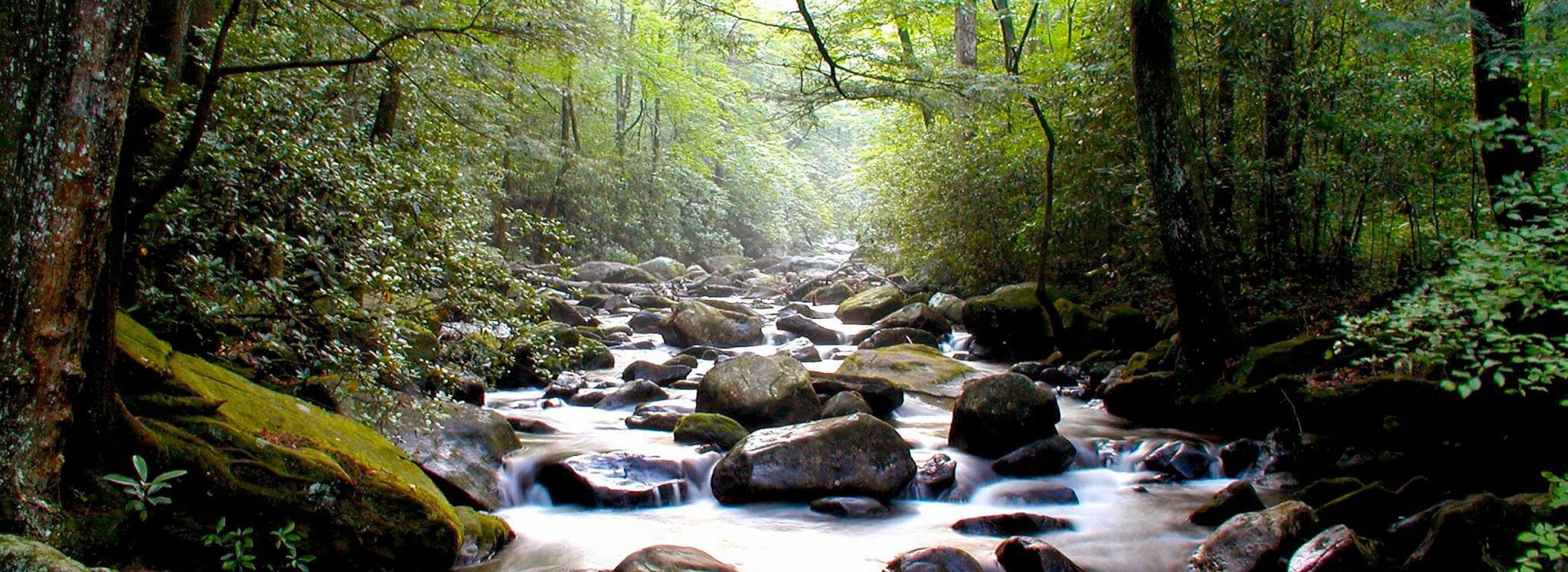 Dentist Fort Mill, SC | Monarch Dentistry of Gold Hill